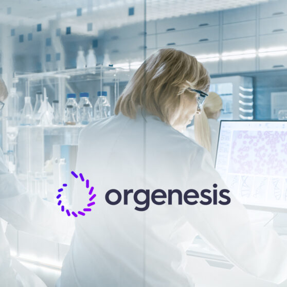 Orgenesis - Boundary Holding